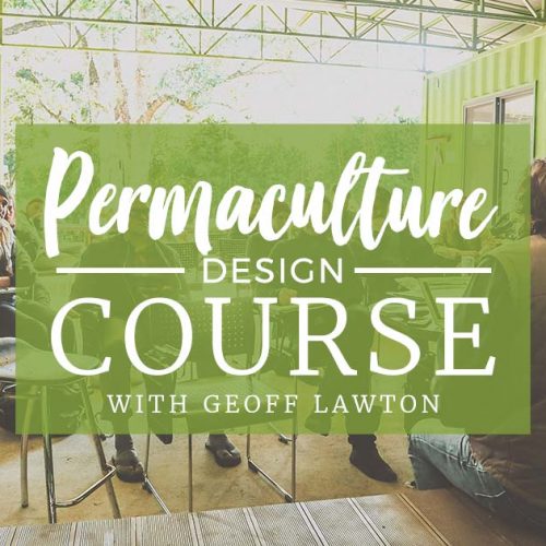 Zaytuna Farm Autumn Tour – 1st March 2020 - Zaytuna Farm