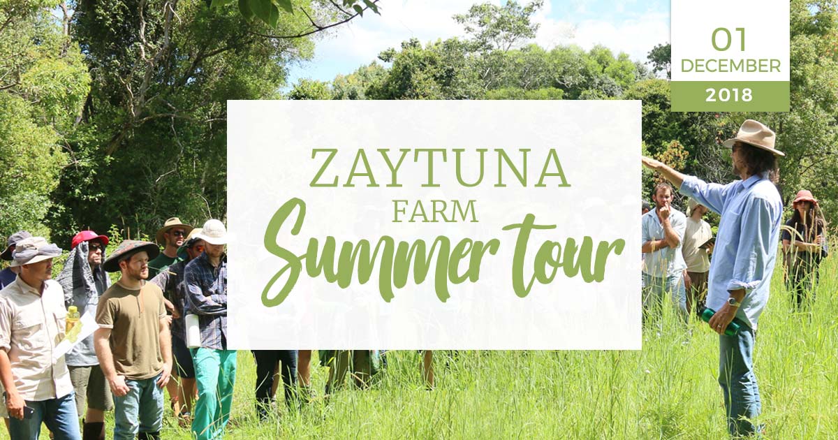 Zaytuna Farm Spring Tour – 1st of September 2019 - Zaytuna Farm