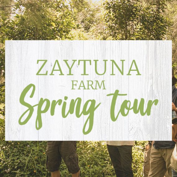 Zaytuna Farm Autumn Tour – 1st March 2020 - Zaytuna Farm