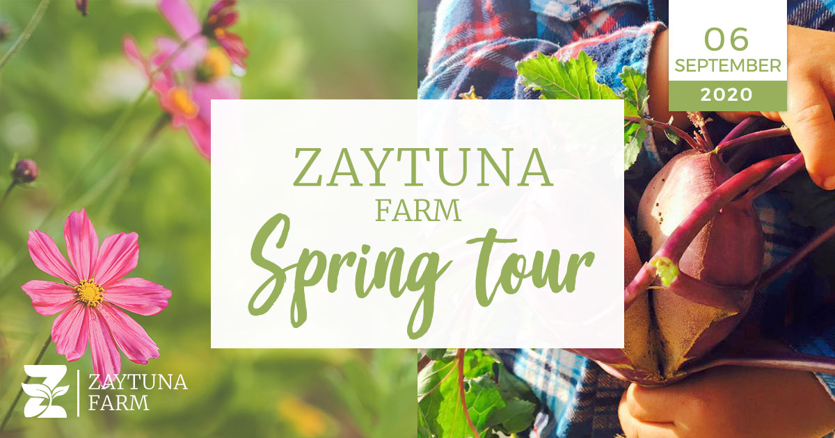 Zaytuna Farm Permaculture Discovery Day – 28th March 2021 - Zaytuna Farm