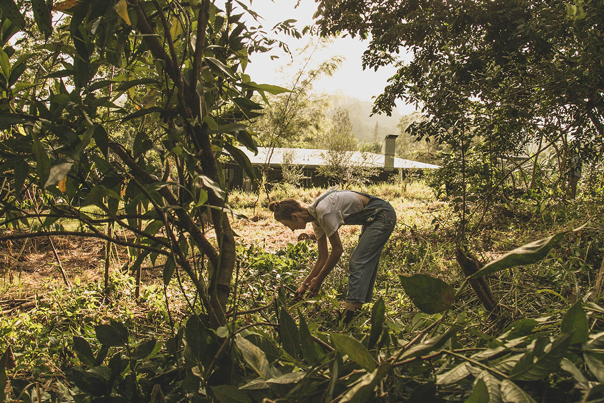 Zaytuna Farm | FOOD FOREST COURSE – 2023 – GEOFF – LAWTON